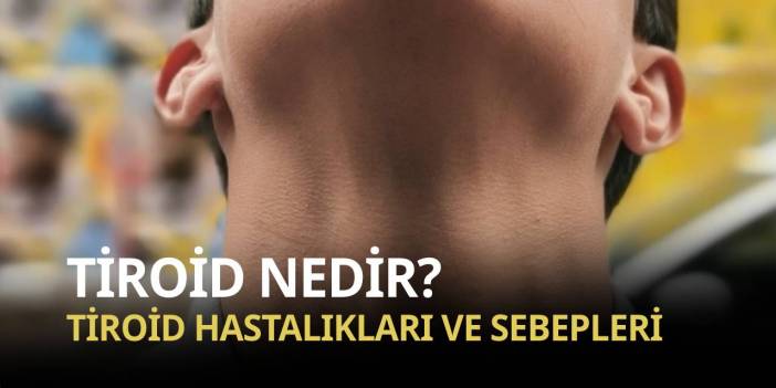 Tiroid nedir? Tiroid hormonları nelerdir? Tiroid hastalıkları ve ...